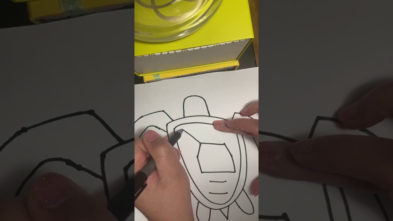 Animal Directive Draw - YouTube