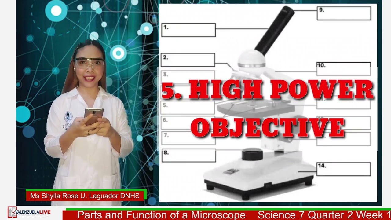 GRADE 7 SCIENCE Q2 PARTS AND FUNCTIONS OF A MICROSCOPE - YouTube