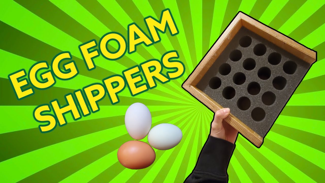 Hatching egg foam shipper tips - YouTube