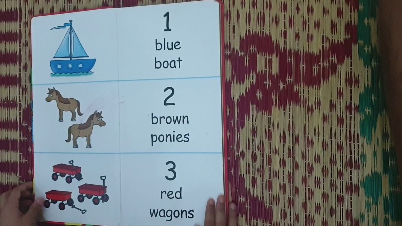 Book Reading - The Numbers Book - YouTube