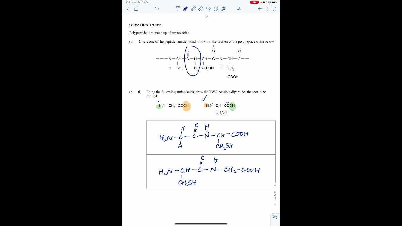 NCEA Organic Chemistry Level 3 - YouTube