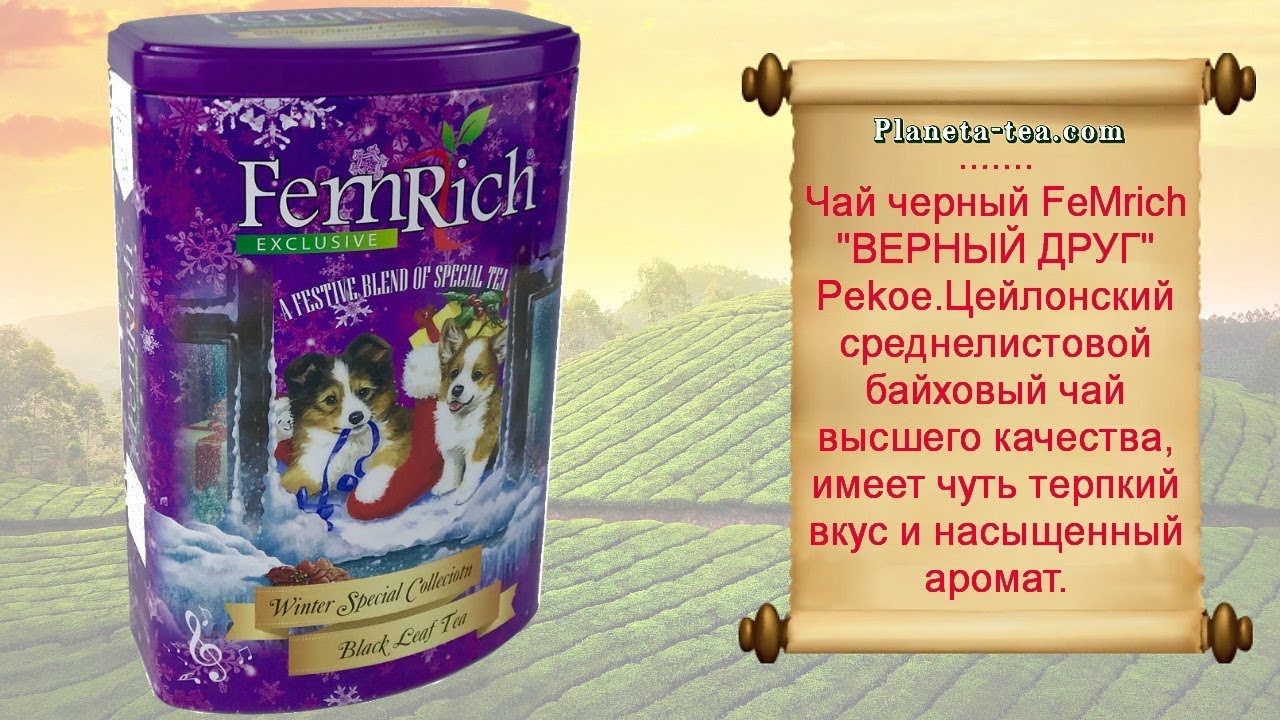 Чай Фемрич Верный Друг. Подарки к праздникам. Планета Чая. FeMrich tea ...