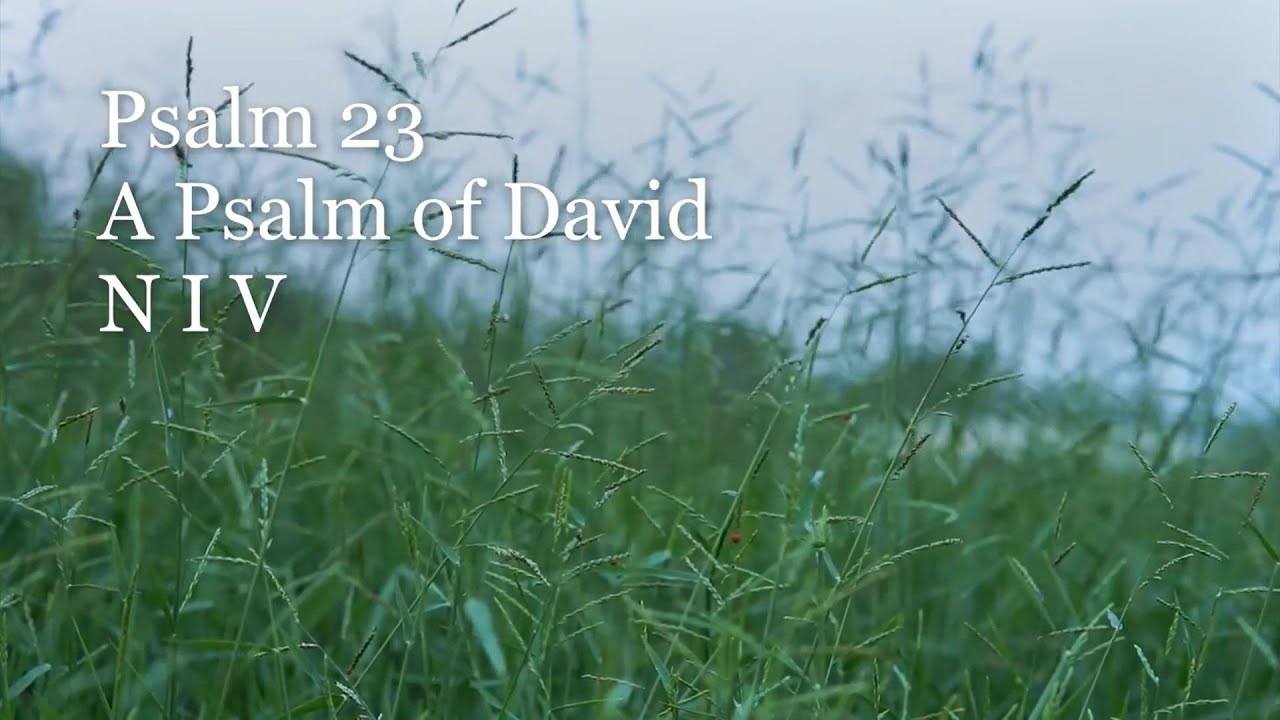 Psalm 23 A Psalm of David NIV 3 Minute Meditation - YouTube
