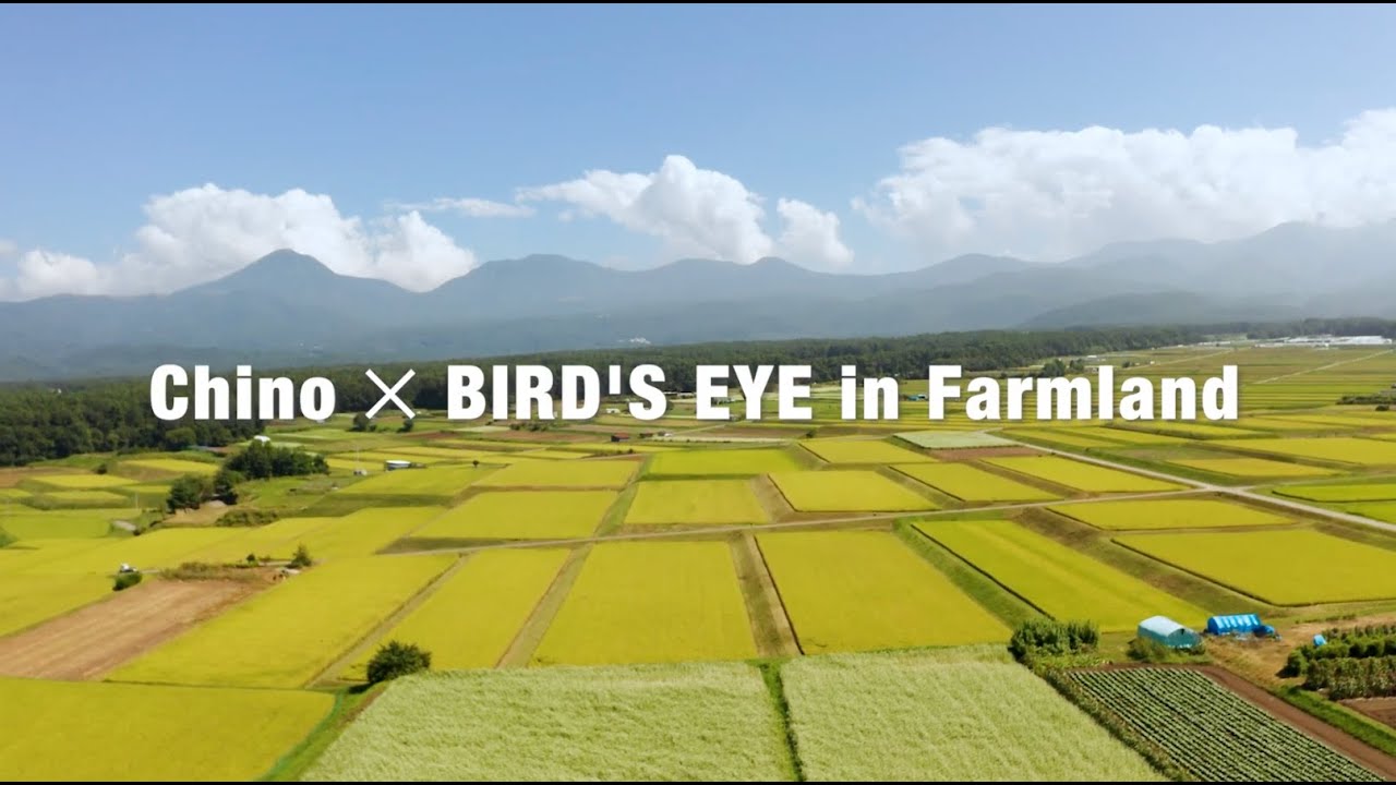 Chino BIRD'S EYE in Farmland - YouTube