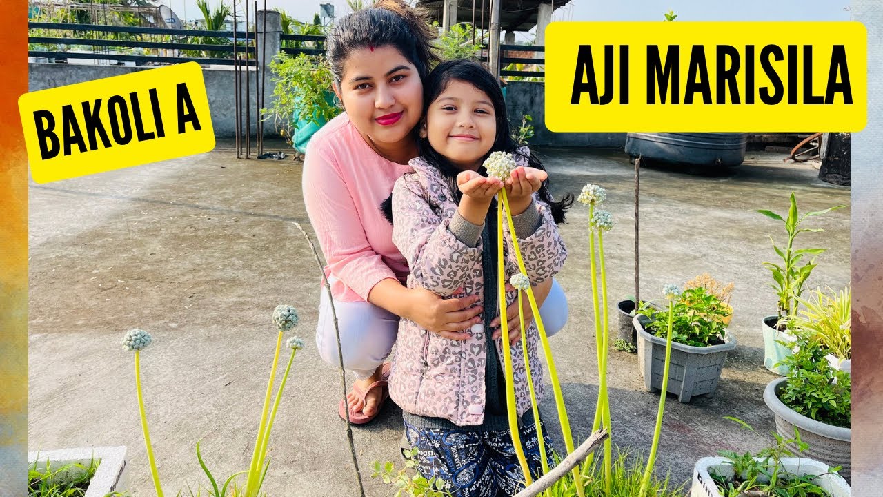 Bakoli A Aji Marisila Bapeka😒@polashbhai3484 ...