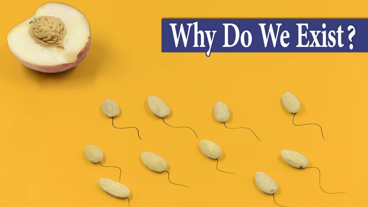 Why Do We Exist | The purpose of Life | Science and Quran - YouTube