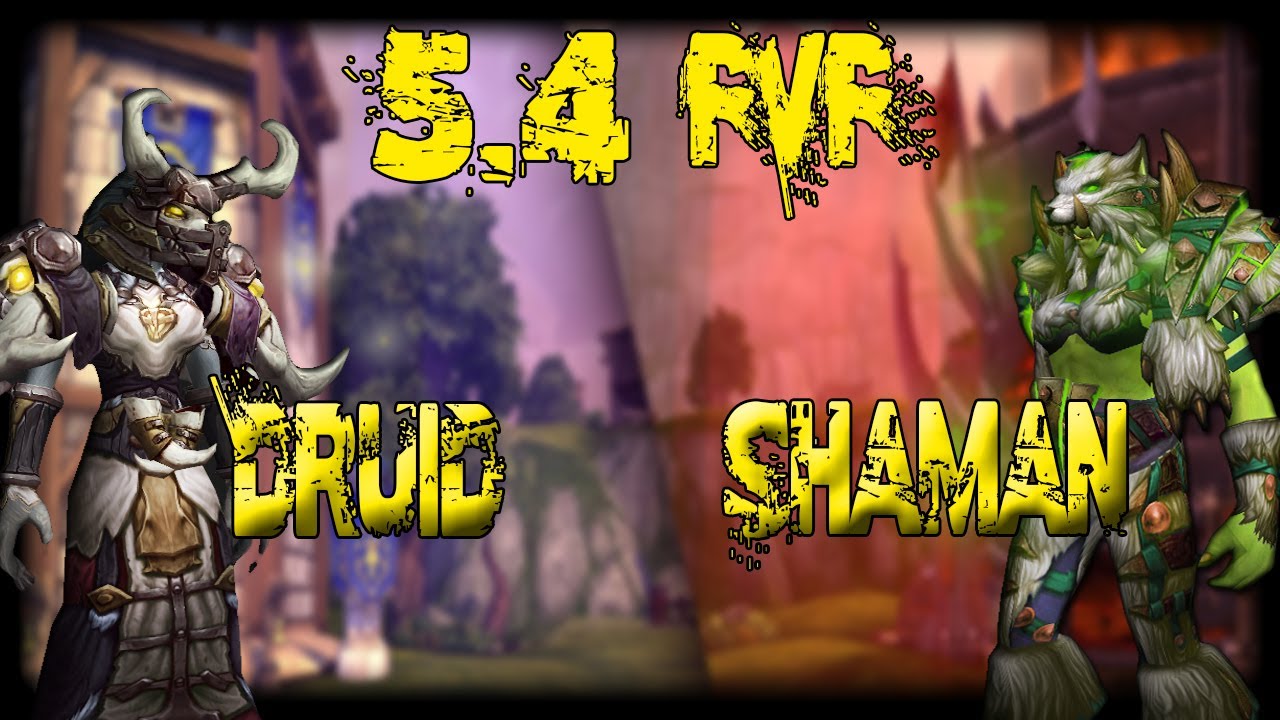 The shaman diablo 2 druid build - wqpmodels