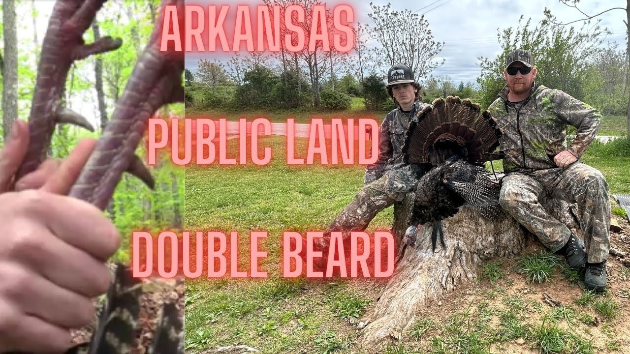 Big Woods Public Land Turkey Hunting in Arkansas - YouTube