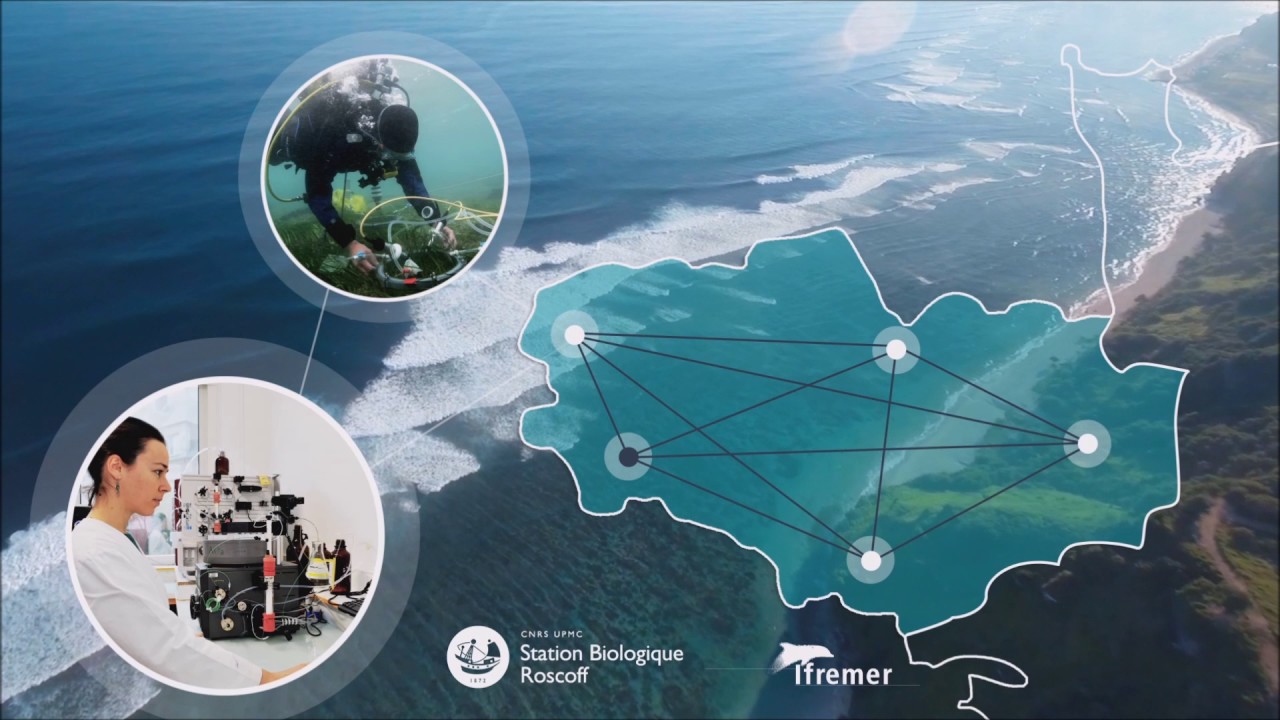 Ocean BIO-ACTIF : Le savoir-faire de notre laboratoire - YouTube