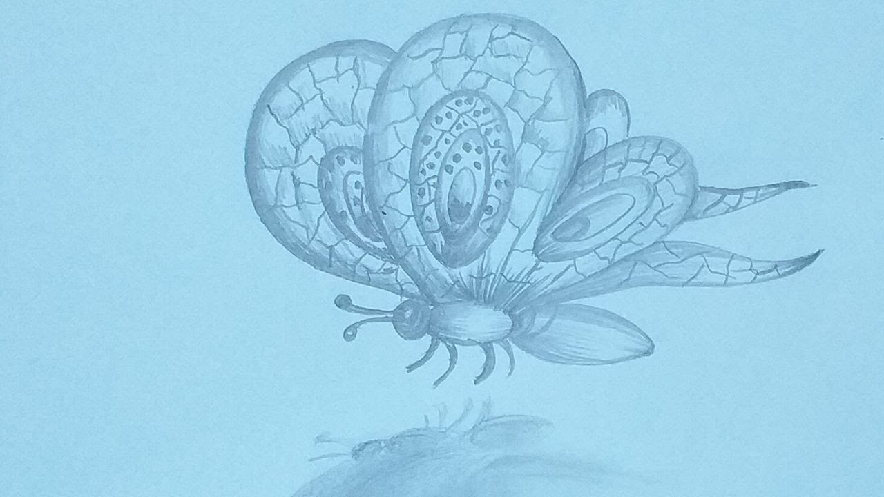 How To Draw A 3D Butterfly | Easy Drawing | Pencil Sketch - YouTube