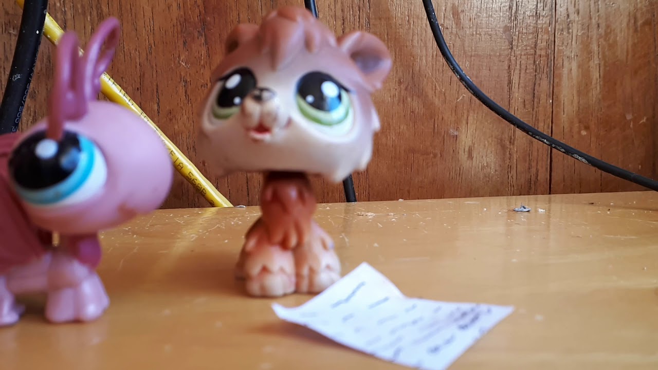 The adisions for lps different 😎 - YouTube