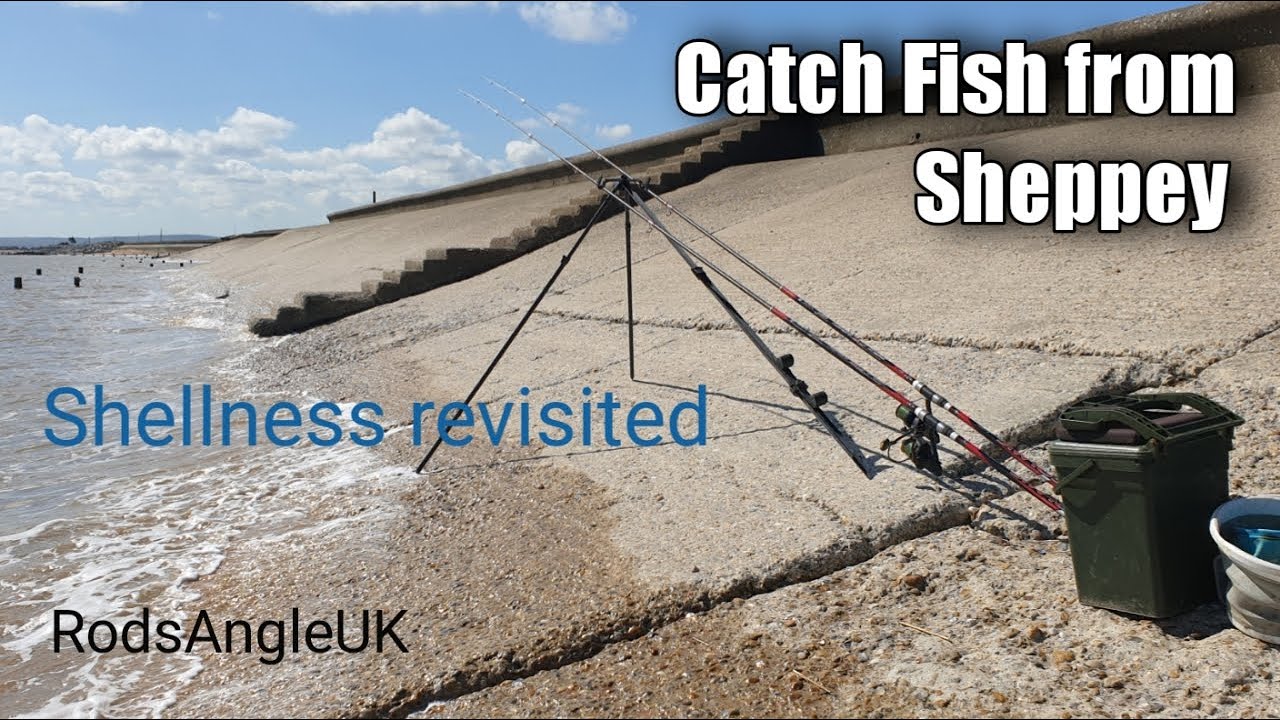 Catch Fish from Sheppey: SHELLNESS REVISITED - YouTube