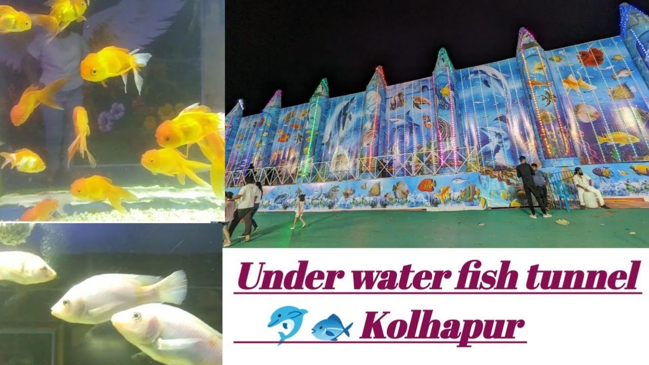 kolhapur fish aquarium tank || Under water fish tunnel 2024#kolhapur ...