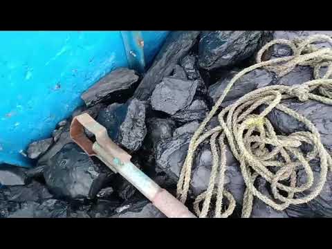 Coal Dealers & Coal Suppliers in Sikni Latehar Jharkhand 88 00 55 77 88 - YouTube