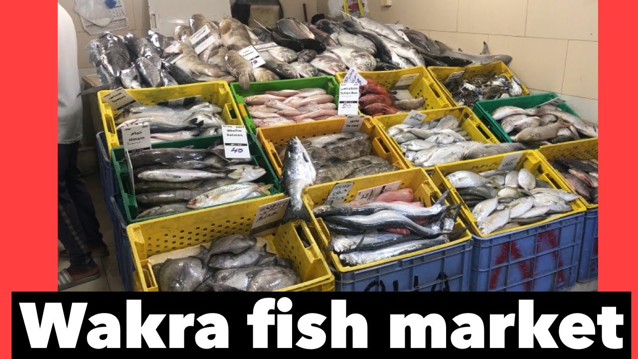Wakra fish market Qatar fish - YouTube