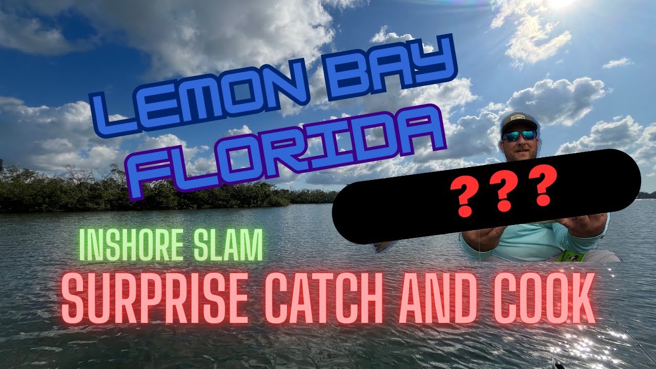 Surprise Catch and Cook | Lemon Bay Florida Inshore Slam - YouTube