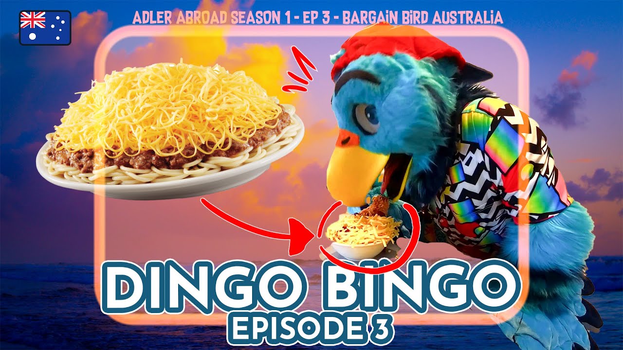 Dingo Bingo : EP 3 - Bargain Bird Australia - YouTube