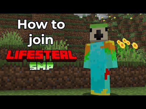 How you can Join the Lifesteal SMP