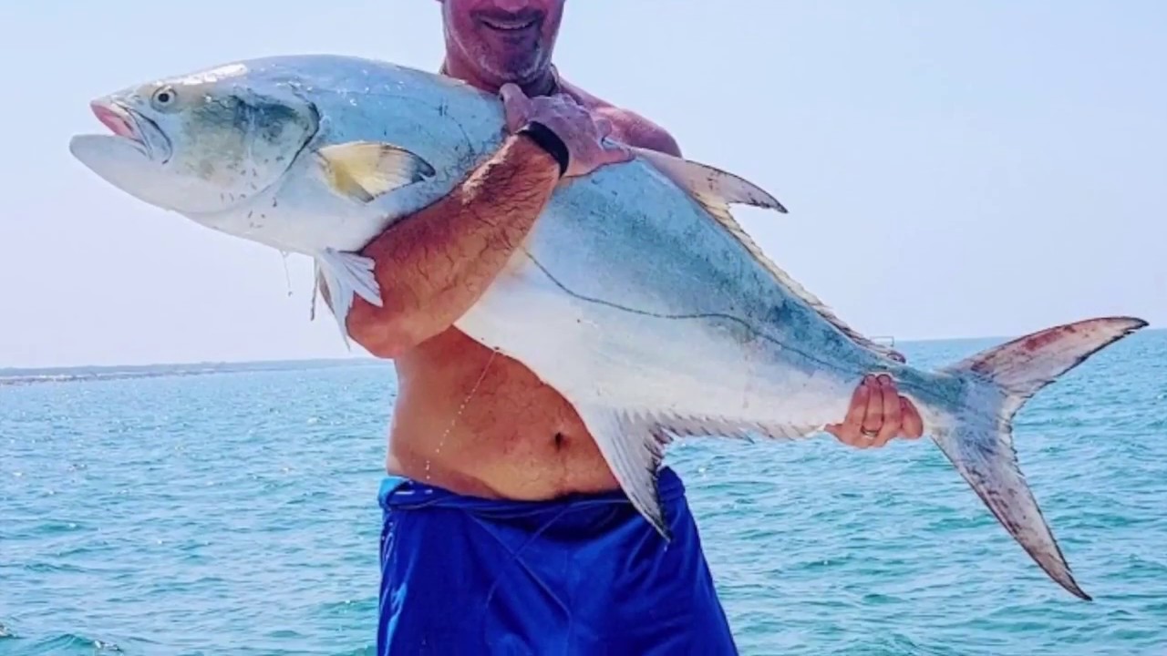 leccia a traina 20 kg viareggio 2018 - YouTube