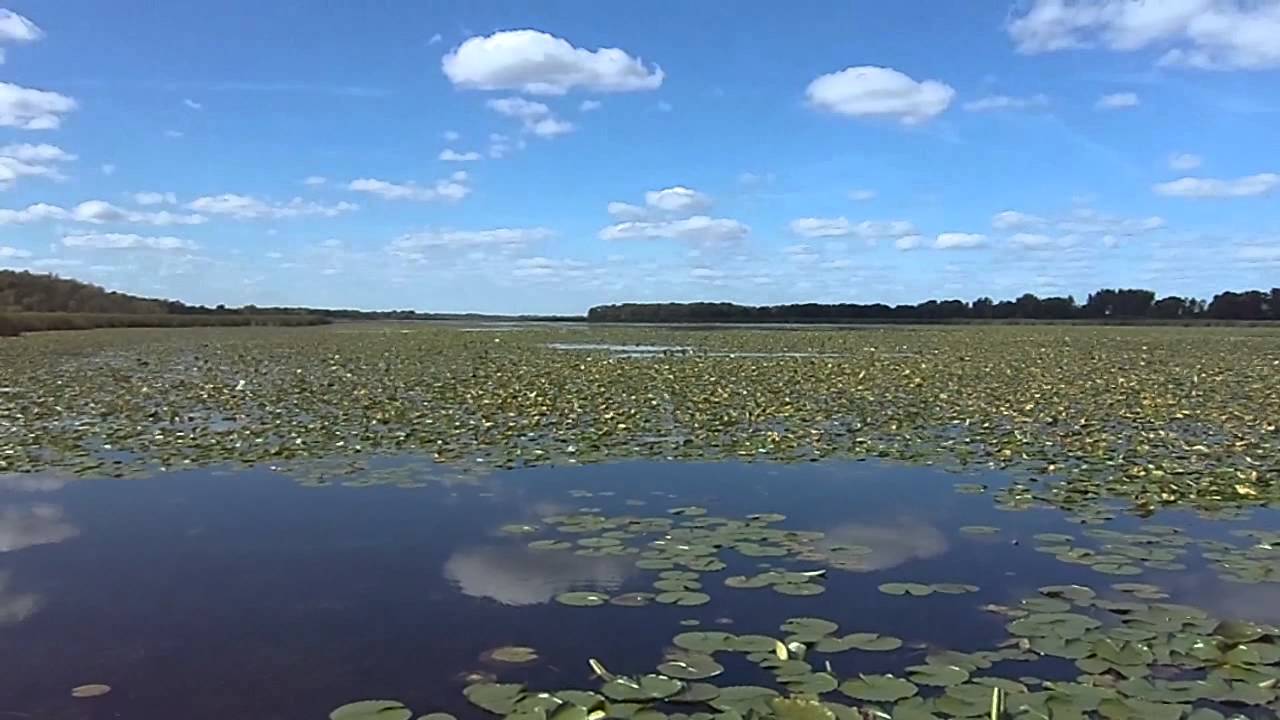 2012-09-10 - Tobico Marsh - Duck Splashing - YouTube