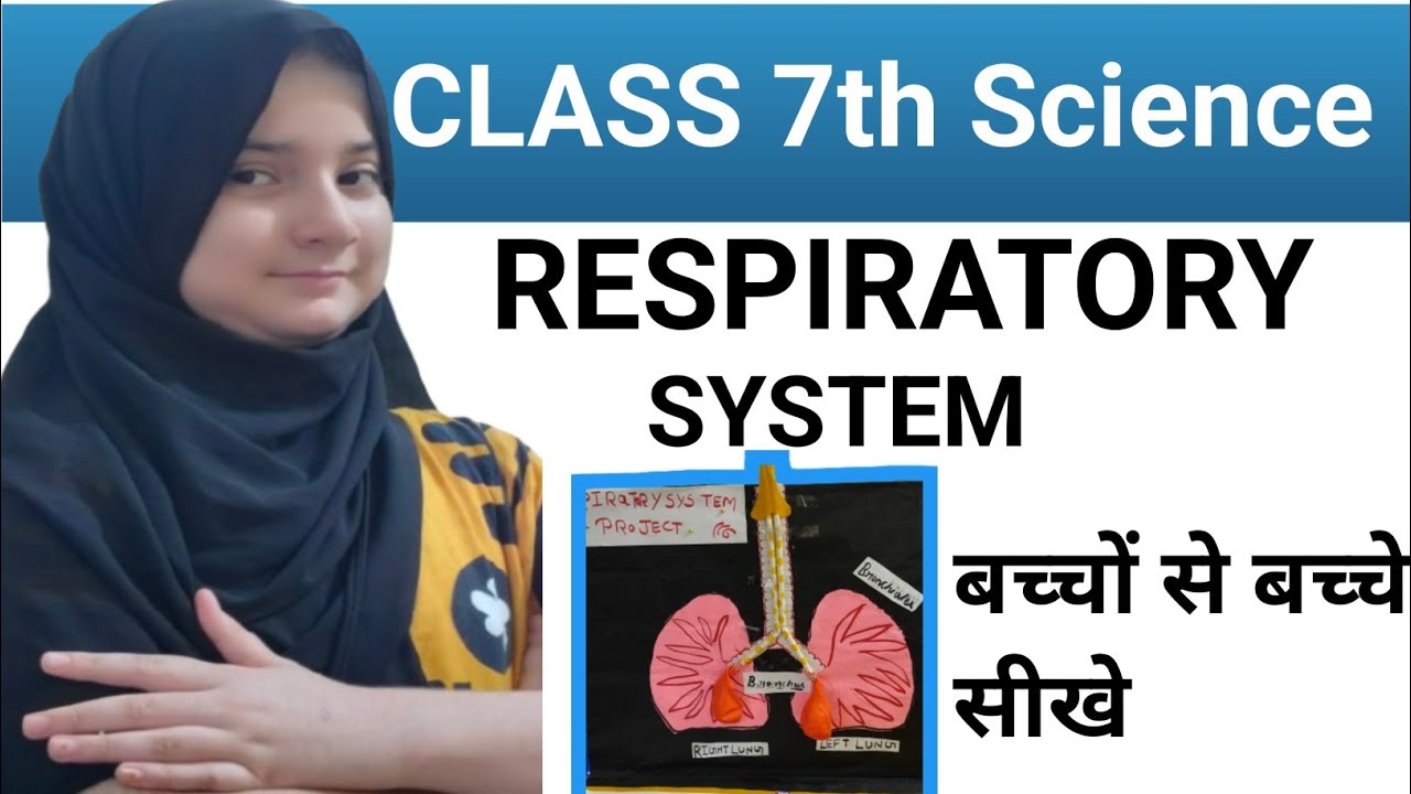 Respiratory System Science Project for Class 7 | Step-by-Step Model ...
