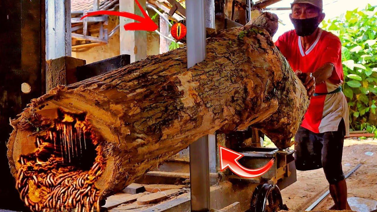You Won't Believe What's Inside This Useless, Bent Teak Wood ...