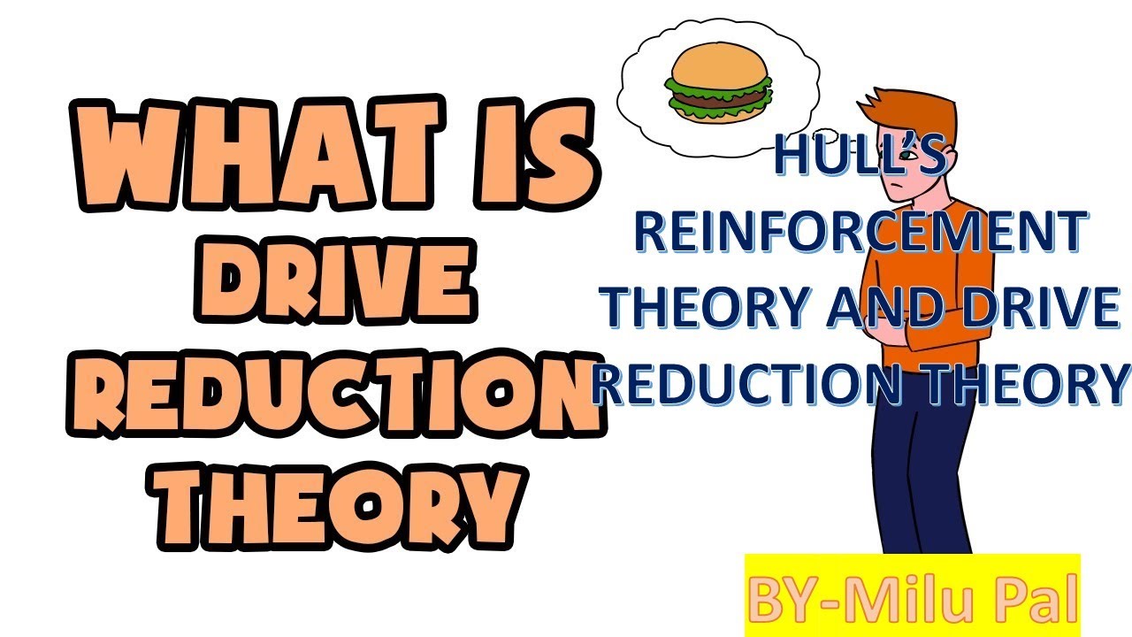 HULL'S REINFORCEMENT AND DRIVE REDUCTION THEORY - YouTube