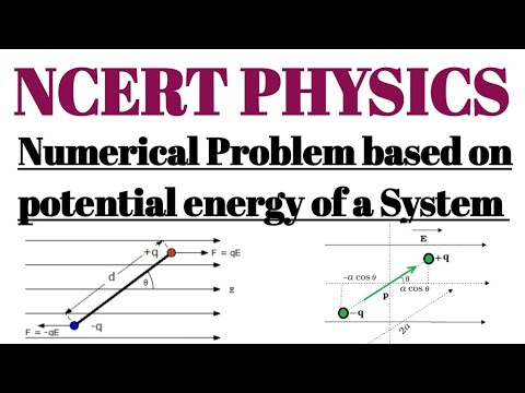 Numerical Problem based on Potential Energy of the System ll NCERT ...