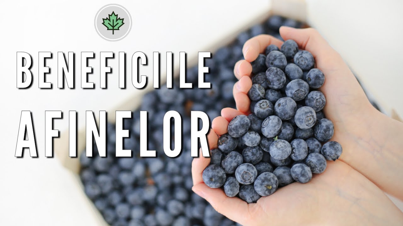 Afinele | Beneficiile plantelor de la A la Z - YouTube
