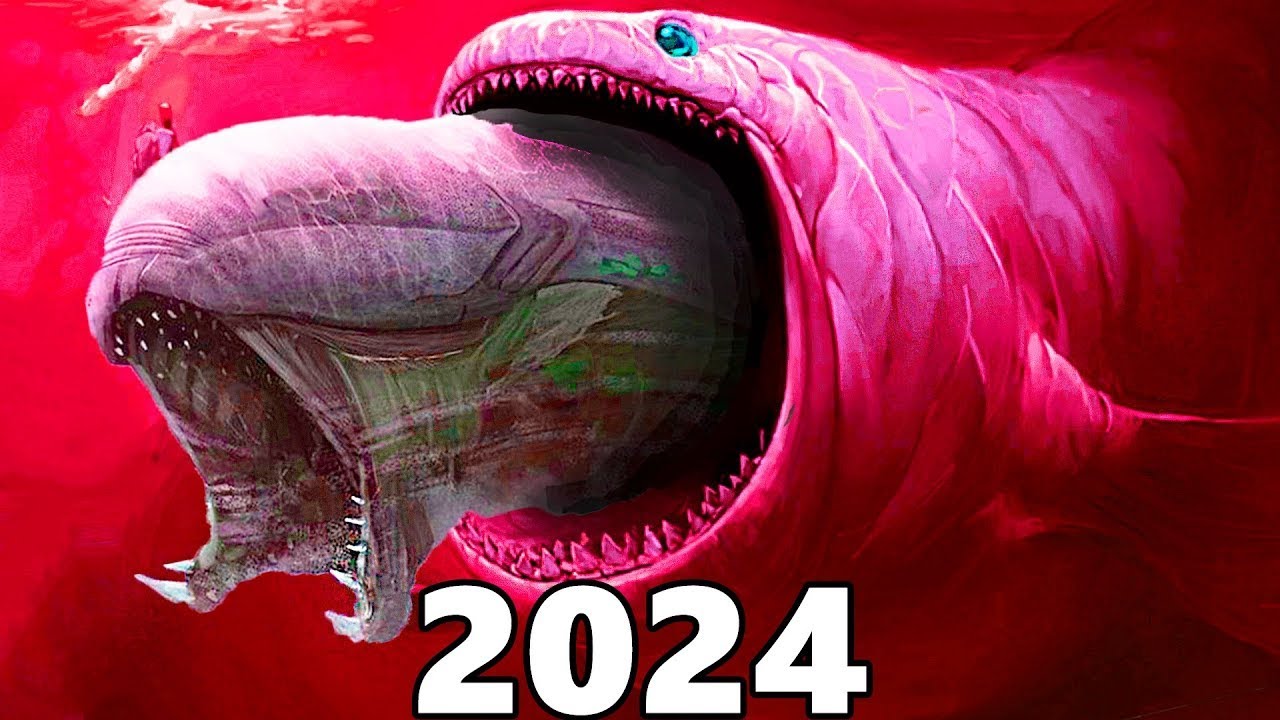 Evolution of BLOOP / Evolution Now - YouTube