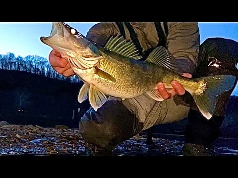 The Most Overlooked River for Walleye Fishing in Pennsylvania - YouTube