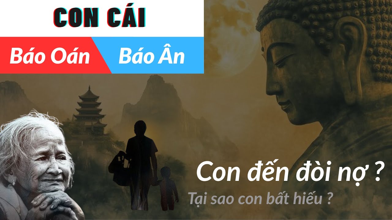 Con Bạn Đang Báo Oán hay Báo Ân - Nghe hết sẽ hiểu #shorts #phatphap # ...