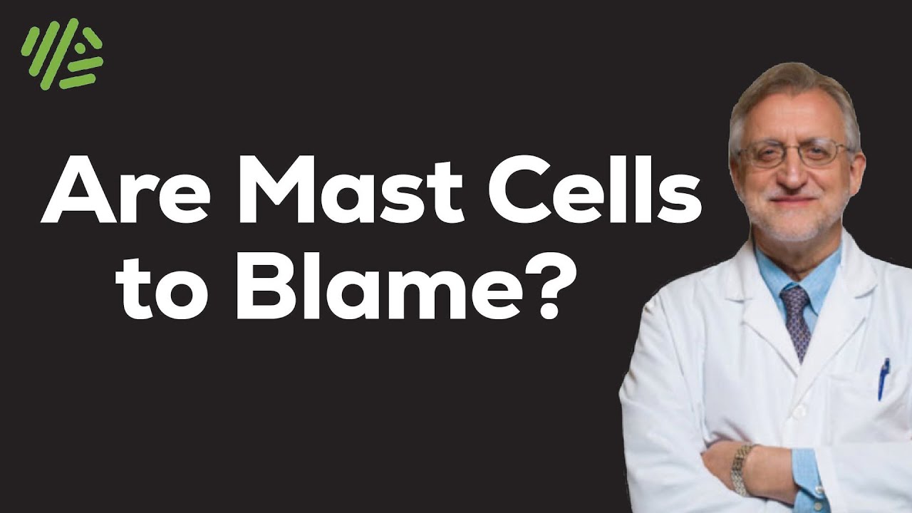 Mast Cells, Autism, and the Immune System with Dr. Theoharis ...