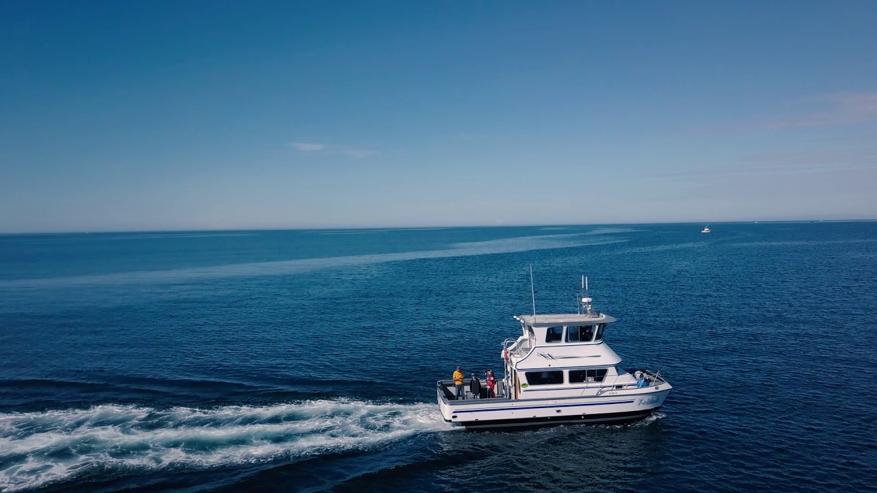 O'fishal:Katilak:WLOGO - YouTube