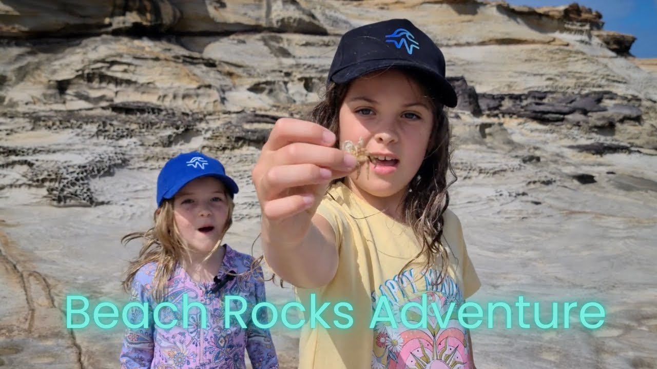 Exploring Rock Pools at Putty Beach | Well Watered Kids Adventure - YouTube