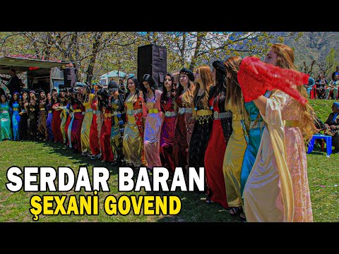 SERDAR BARAN - ŞEXANİ 2025 HALAY