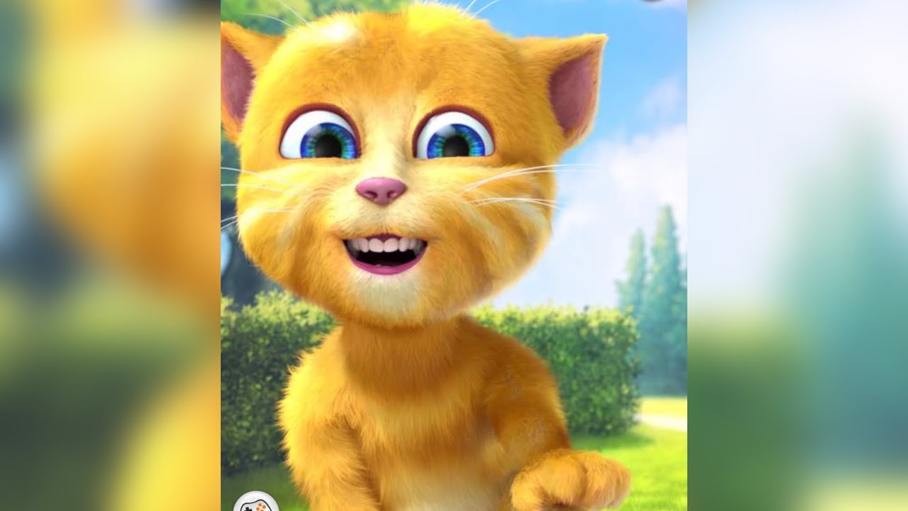 talking ginger funny cat my talking ginger cat episode 360 - YouTube