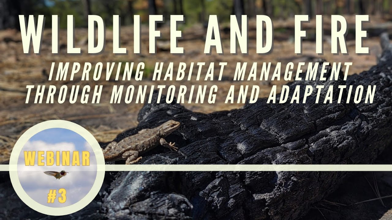 Wildlife and Fire: Improving Habitat Management Through Monitoring and ...