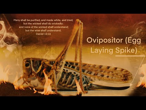 REVEALED: DEMON POSSESSED Locusts?!?! Read Proverbs 30 & Revelation 9 ...