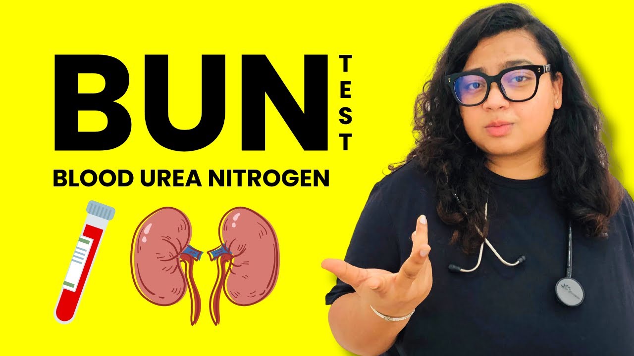 BUN Test Procedure - Blood Urea Nitrogen Test for Kidney, How it's Done ...