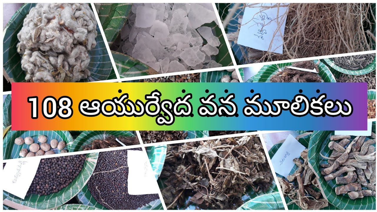 108 ఆయుర్వేద వన మూలికలు ||108 Ayurvedic herbs of medicinal values used ...