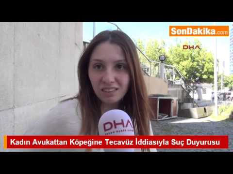 kadin avukattan kopegine tecavuz iddiasiyla sucladi