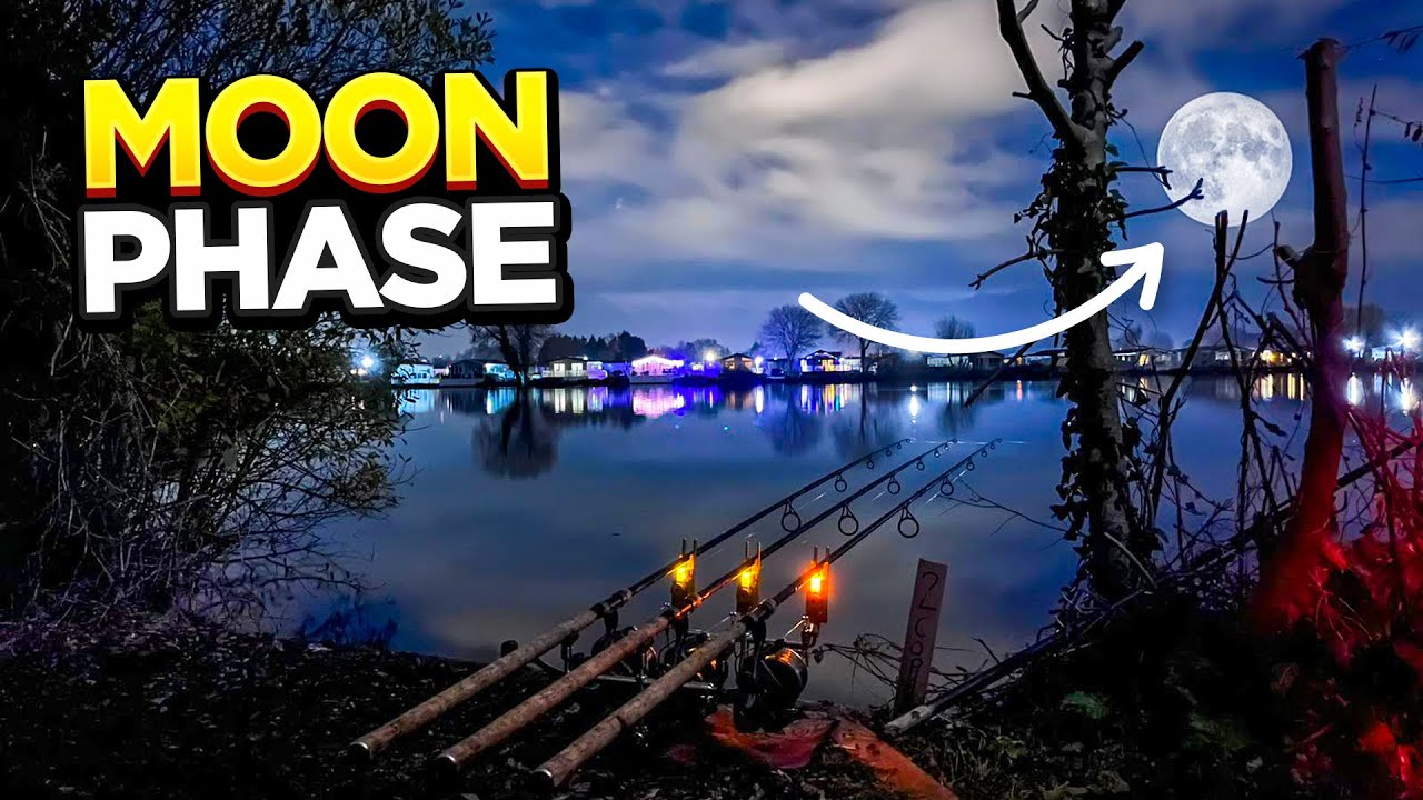 Cold Winter Carp Fishing Vlog Quick-Overnighter at Copse Lake! - YouTube