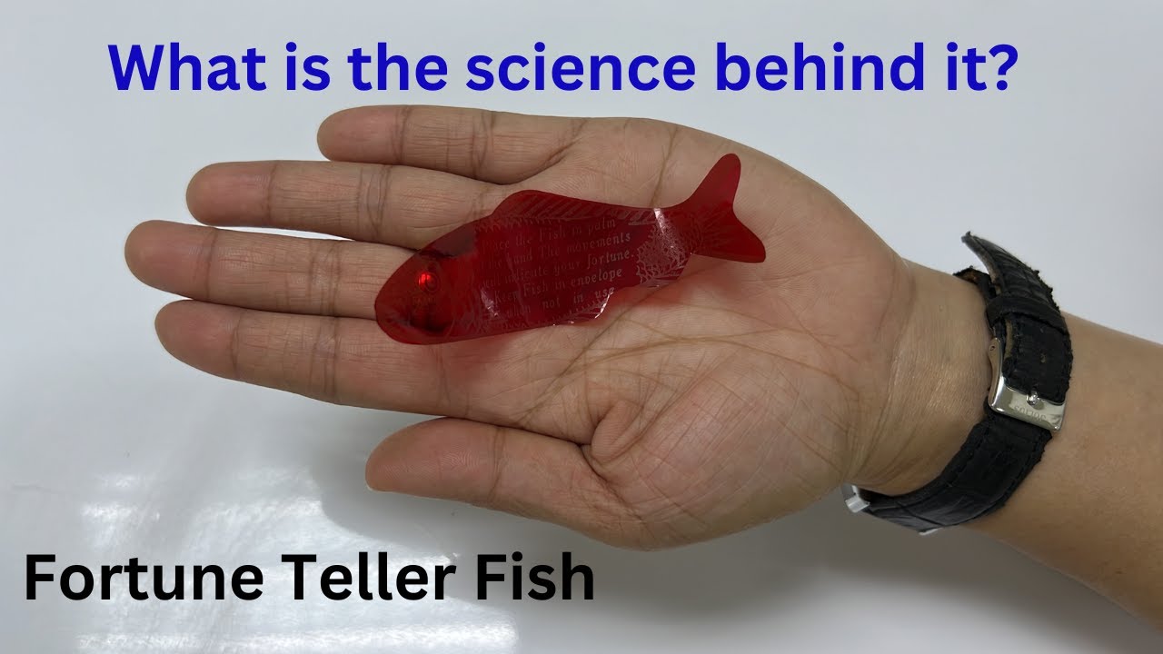 Miracle Fish The Science Behind It How Does It Work YouTube miracle-fish-the-science-behind-it-how-does-it-work-youtube