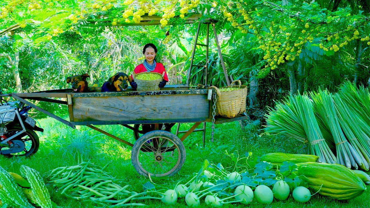 Harvest Fruits, Vegetables: Otaheite Gooseberries,Yardlong Beans ...