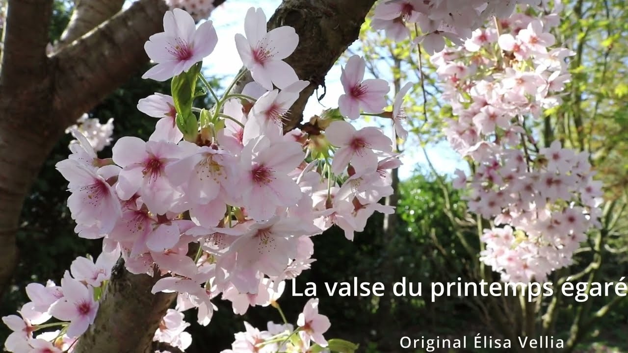 La valse du printemps égaré (Lost spring waltz), written by Elisa ...
