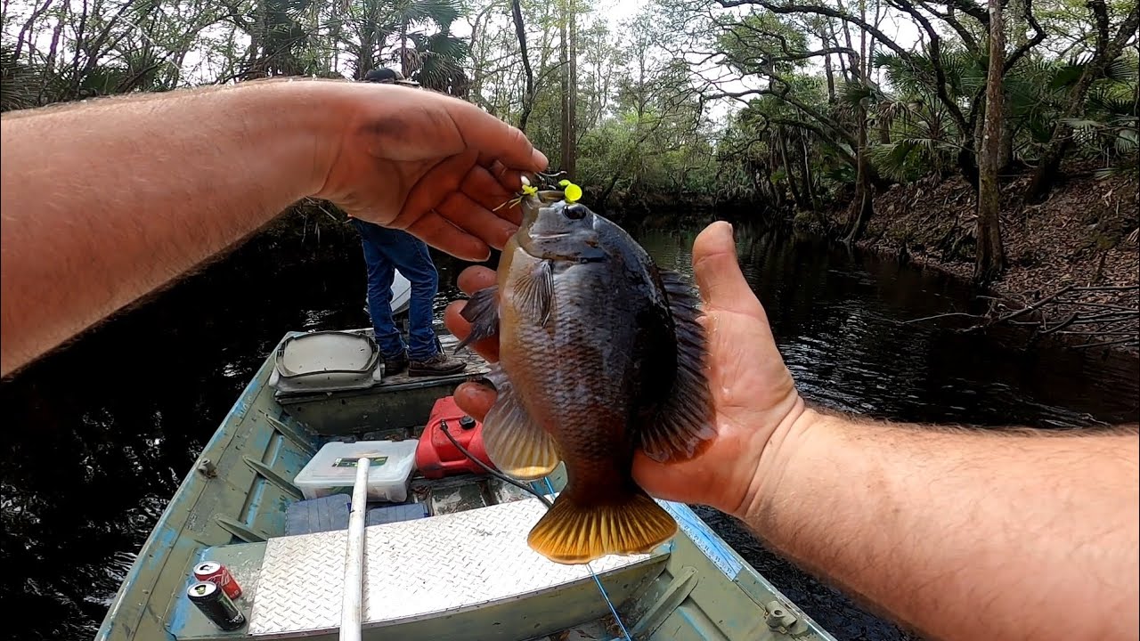 First bream fishing trip of the year (nice mess of fish!!) - YouTube