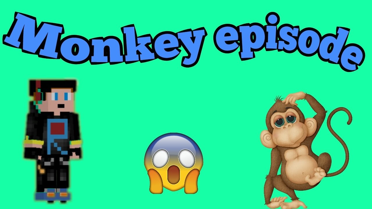 You take my soya!! || Monkey episode🙉🙈🙊 - YouTube