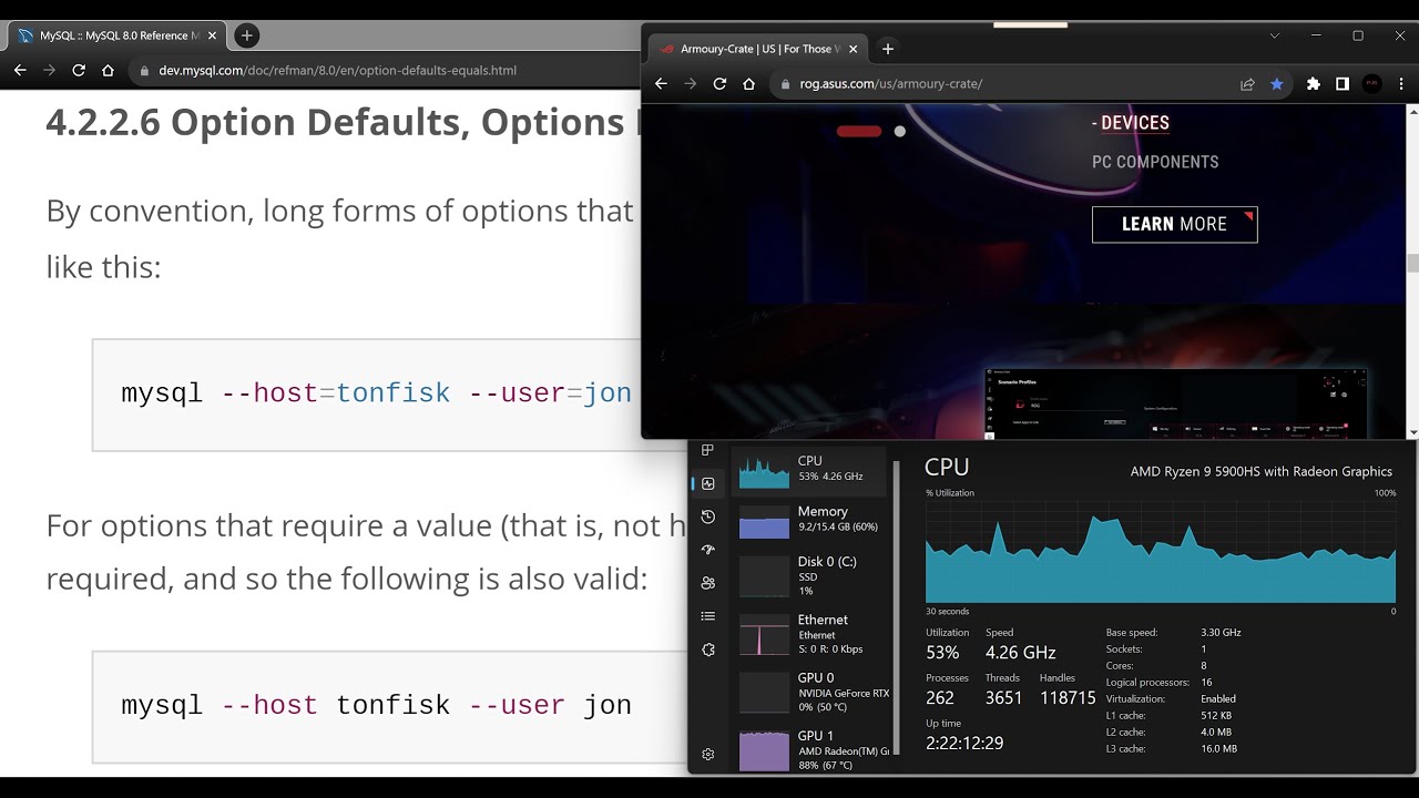 Option Defaults Options Expecting Values And The Sign Specifying Program Options Mysql