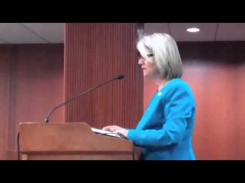 State Rep. Karla Drenner On LGBT Employment Bill - YouTube